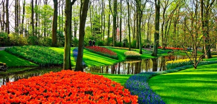 Parque Keukenhof: quando ir, o que fazer e dicas de passeios