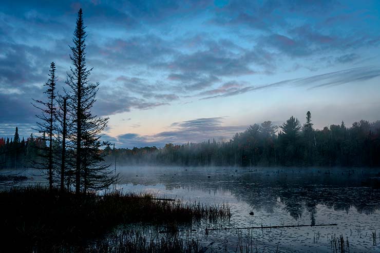 O que fazer em Forks: conheça as atrações da cidade dos vampiros!