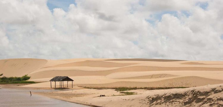 Delta do Parnaíba: saiba mais sobre o destino!