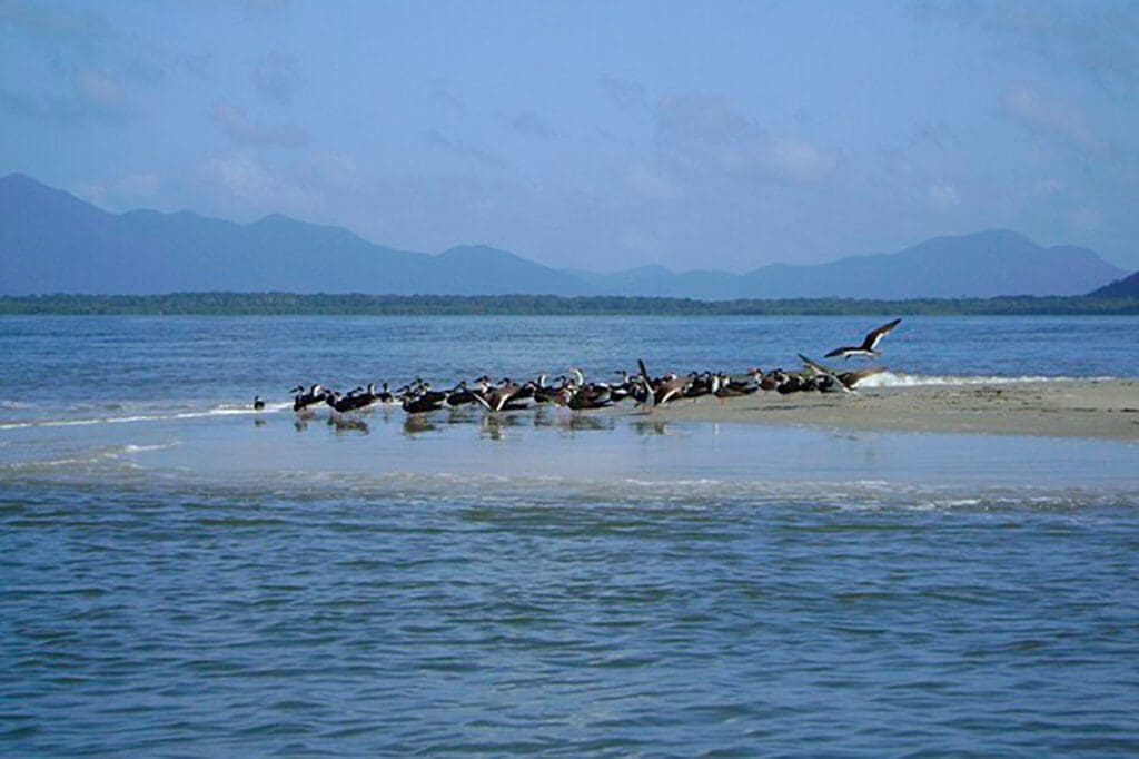 Ilha do Cardoso: destino paradisíaco do estado de São Paulo!